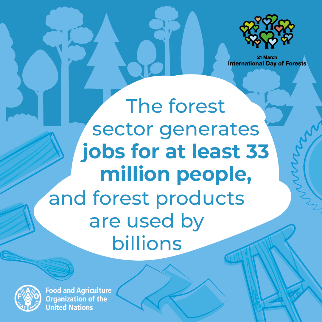 Recognising the climate change fighting potential of forest industries ...